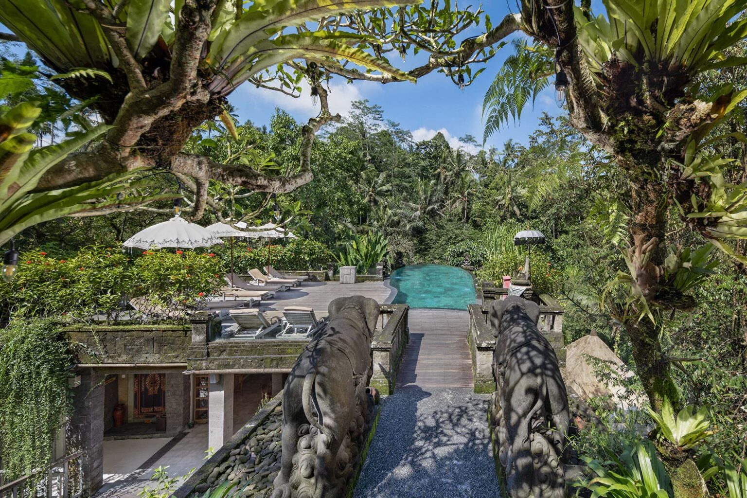 The Pool - The Kayon Resort Ubud - Truly Ubud Resort